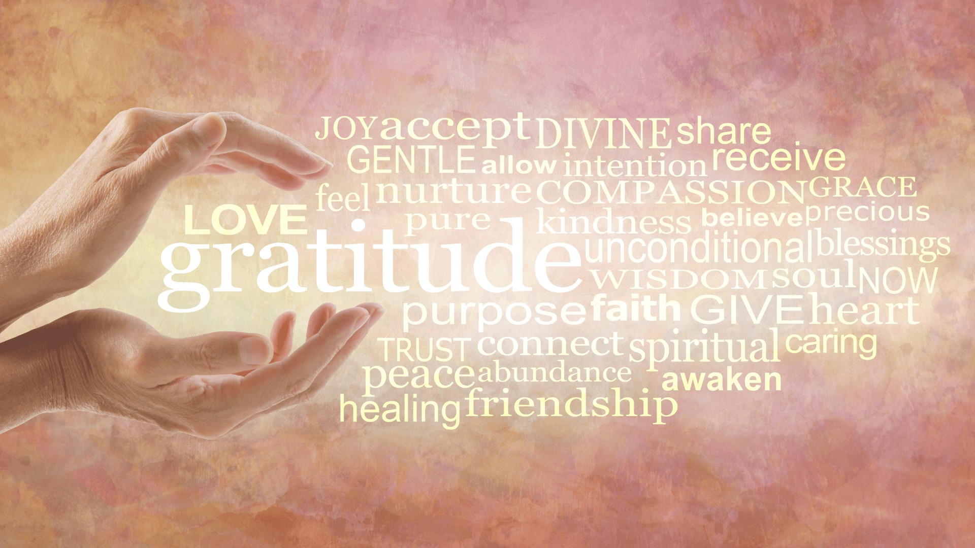 Gratitude Is Attitude: A Powerful Guide | Leal Mind 2026