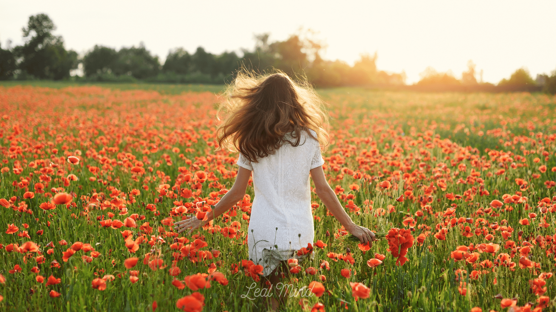 The Ultimate Guide To Holistic Wellbeing For A Balanced Life - Leal Mind