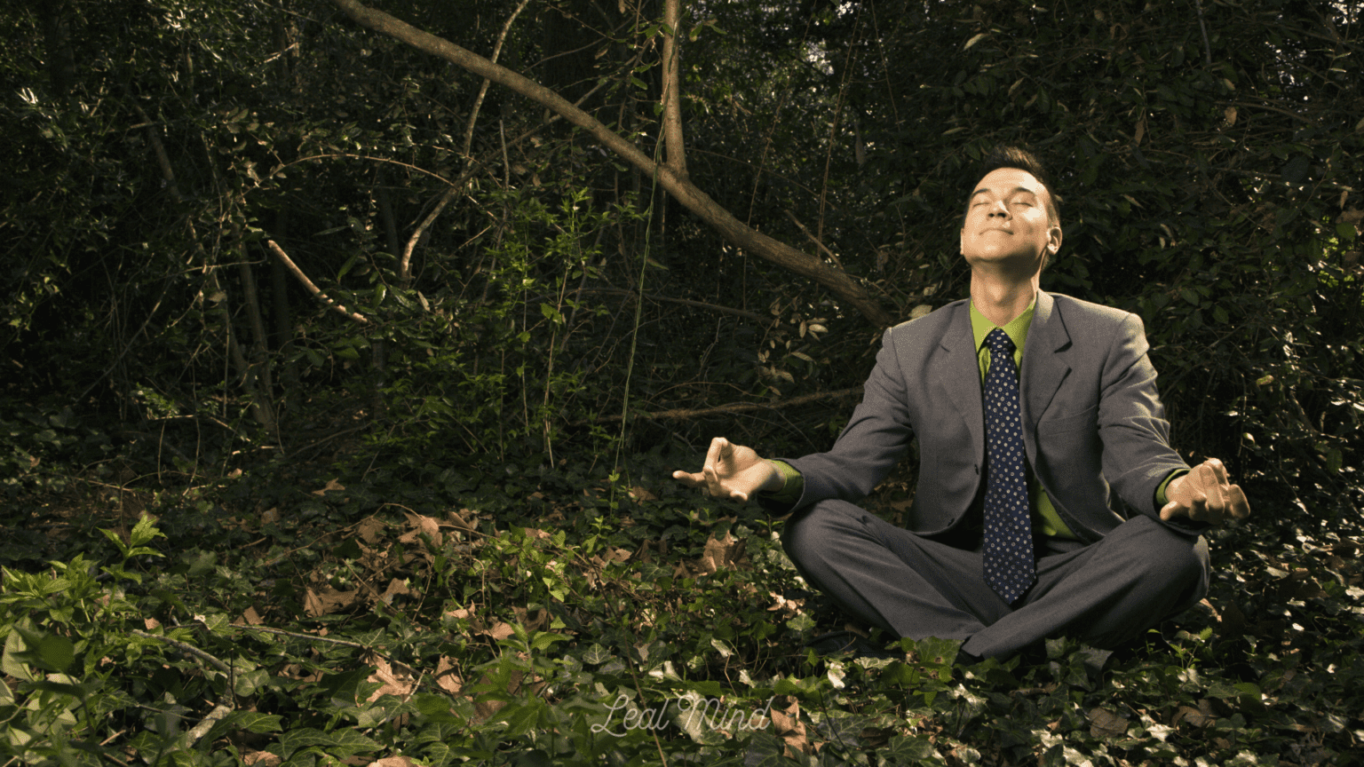 The Ultimate Guide To Holistic Wellbeing For A Balanced Life - Leal Mind