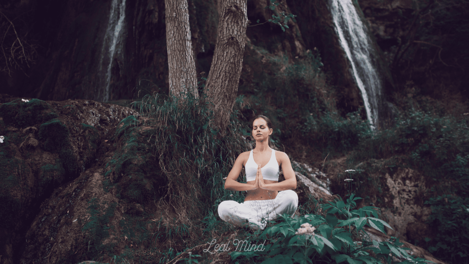 How To Have A Peaceful Life: A Journey To Serenity | Leal Mind