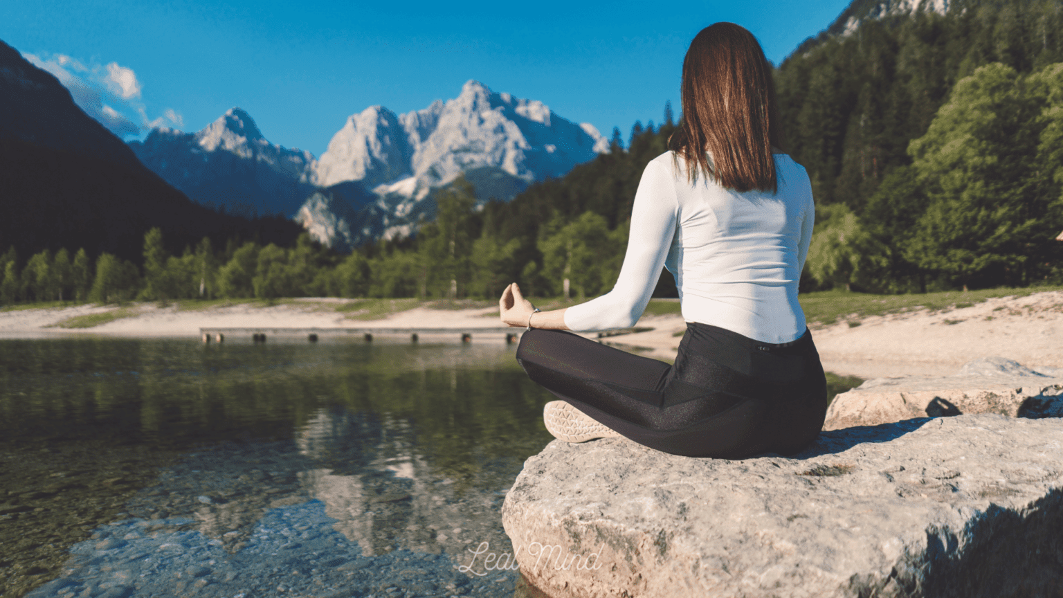 Top 10 Best Stress Relief Apps To Calm Your Mind | Leal Mind